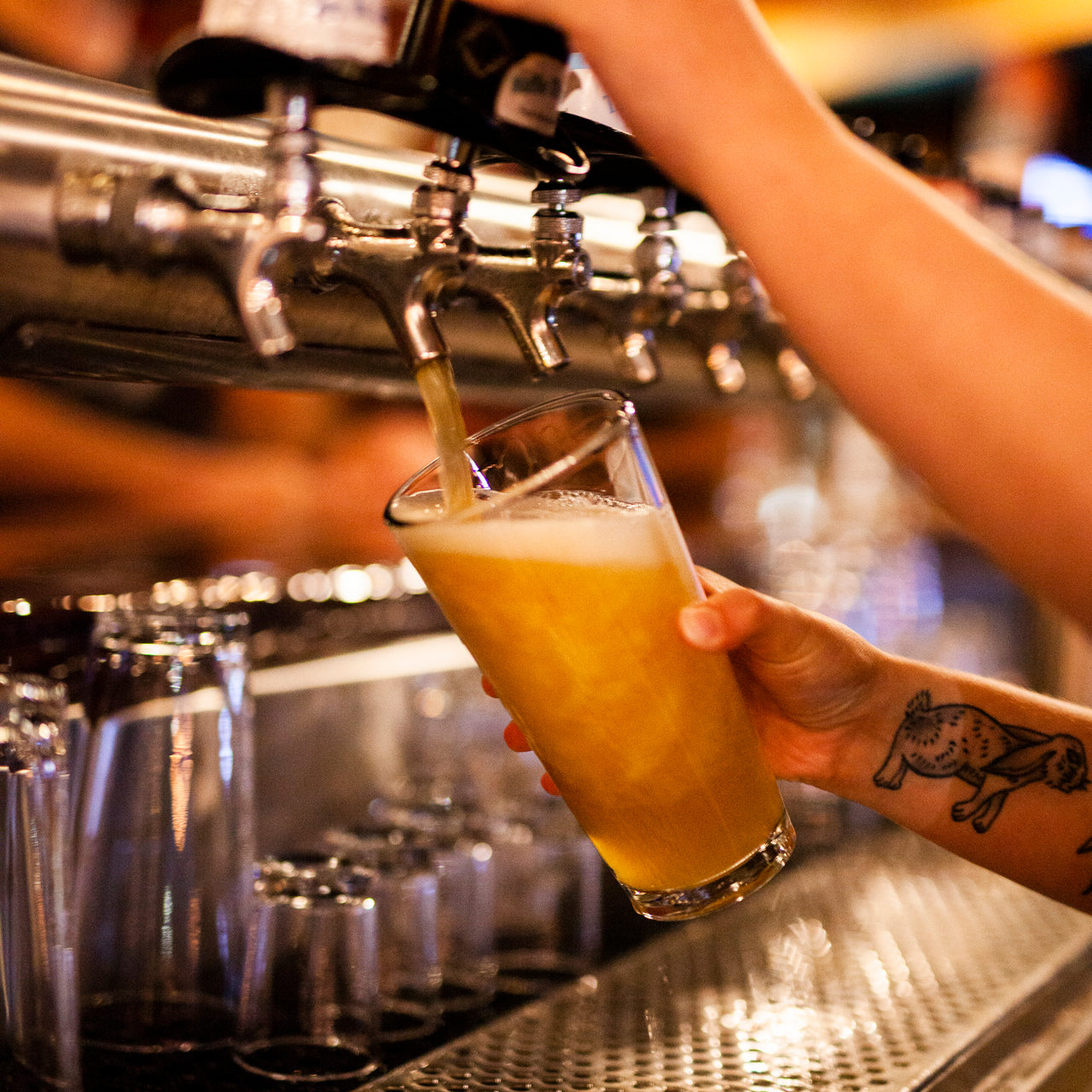 The Fool – Refined Fool Brewing Co.